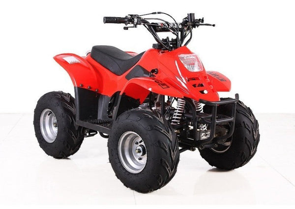 BIG FOOT 125 AUTO – Trotti-bike